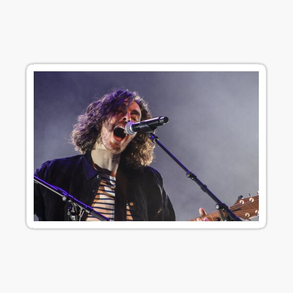 "Hozier" Sticker for Sale by mumfordmuffin | Redbubble