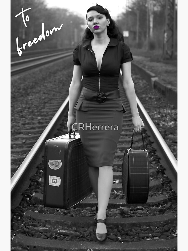 "This is what freedom looks like" Sticker for Sale by CRHerrera | Redbubble