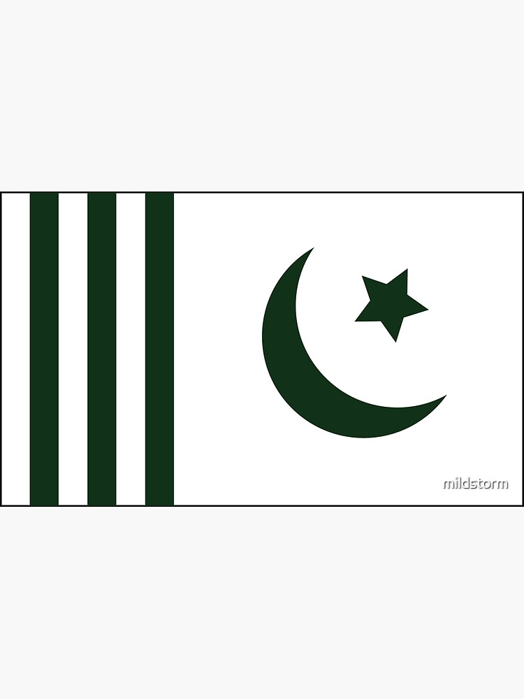 "Pakistan alternate flag" Sticker by mildstorm | Redbubble