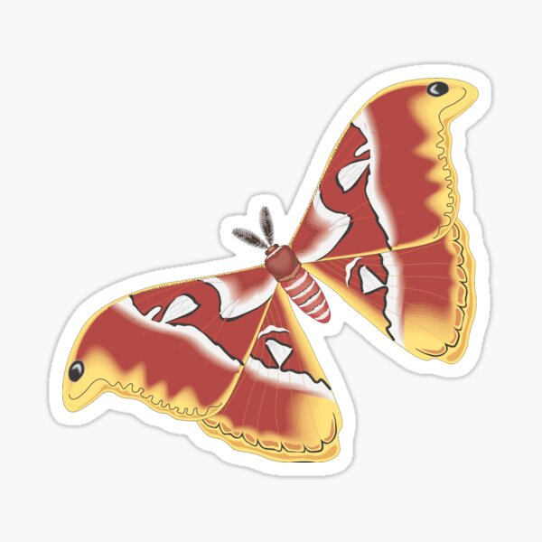 "Atlas moth" Sticker by Judge-Hatchet | Redbubble