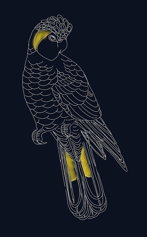 "Yellow Tailed Black Cockatoo line drawing" by BanquoUtd | Redbubble