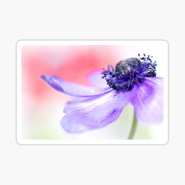 "Smooth..." Sticker by BobDaalder | Redbubble