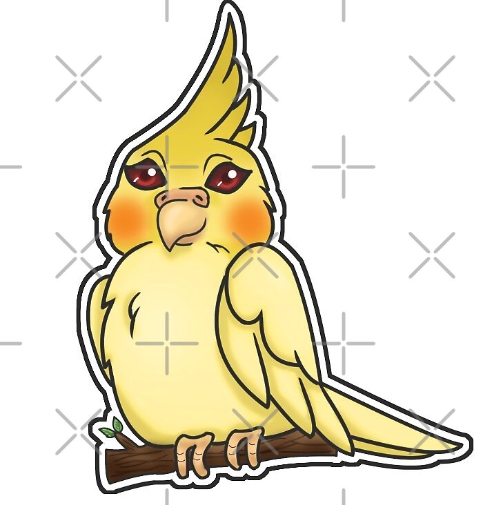 "Super Cute Lutino Cockatiel " by Momo18422 | Redbubble