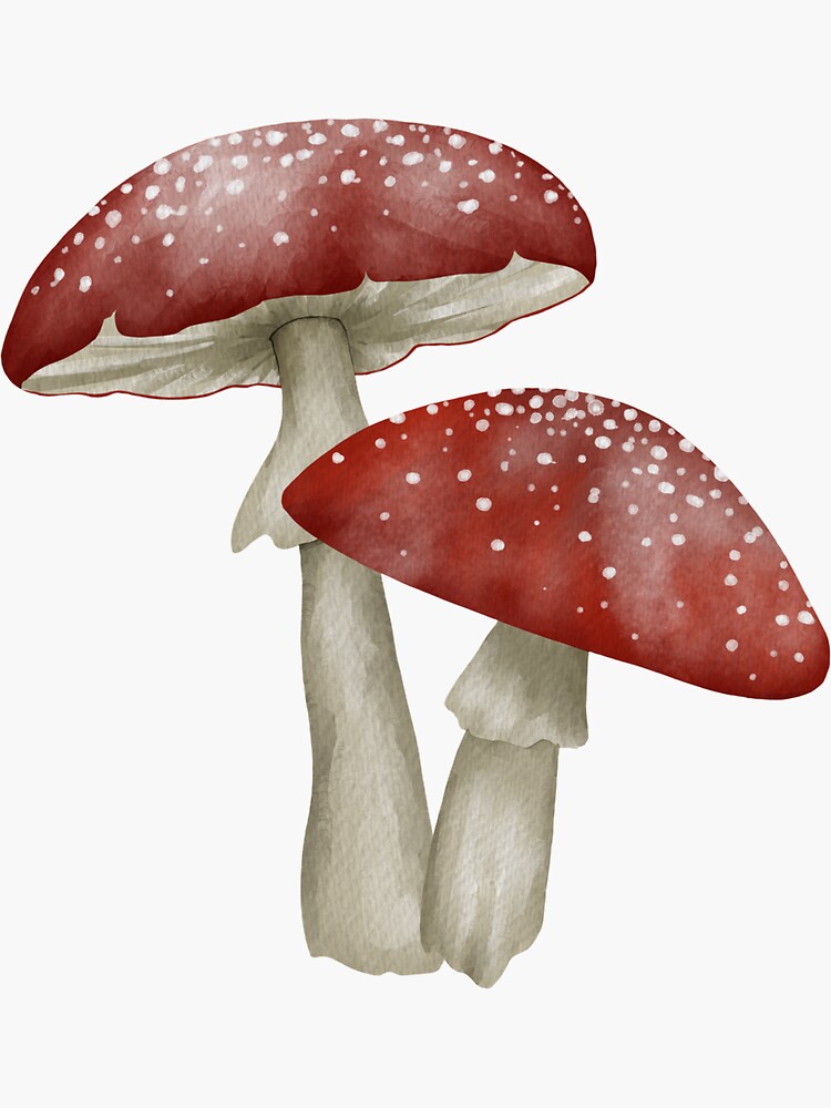 "Toadstools" Sticker by TheodoraG | Redbubble