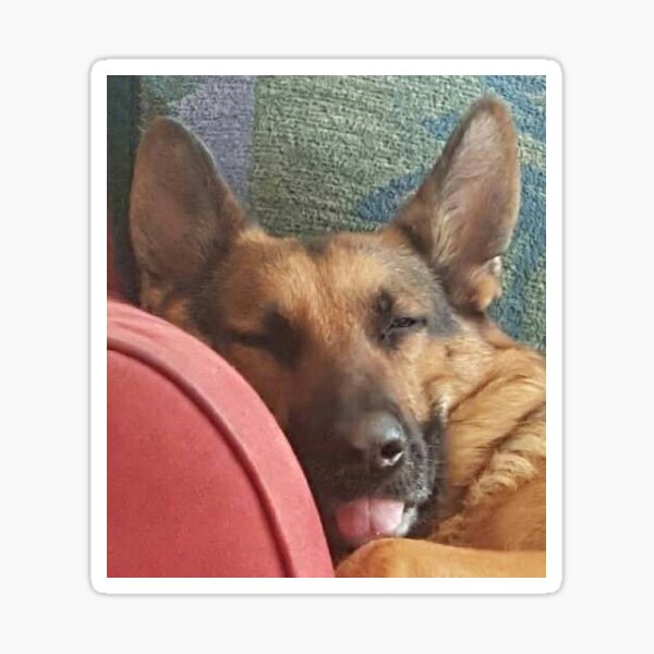 "Lazy Dog" Sticker by Trapogo | Redbubble