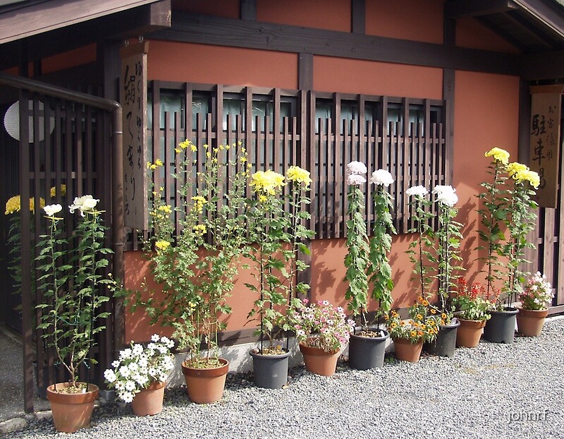 "Japanese garden shop display. Kyoto." by johnrf | Redbubble