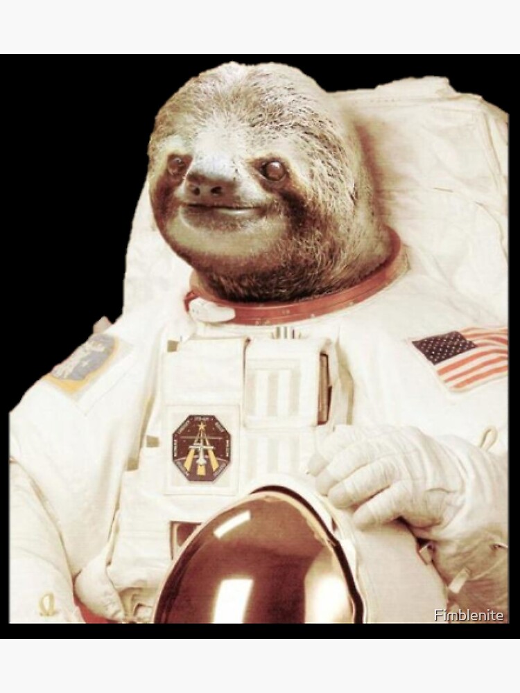 "Astro Sloth" Poster by Fimblenite | Redbubble