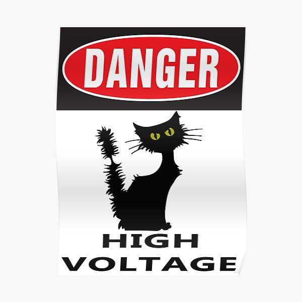 "HIGH VOLTAGE CAT" Poster for Sale by MGphotoart | Redbubble