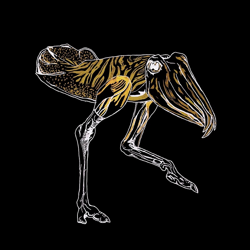 "Cuttlefish has Legs, Knows How to Use Them" by RaLiz | Redbubble