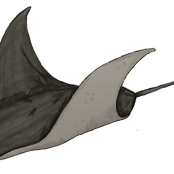 "Manta Ray Wings Up" Sticker for Sale by ChesterCheeseXD | Redbubble