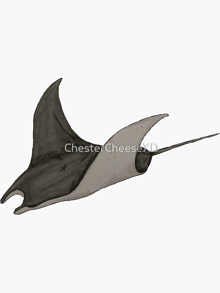 "Manta Ray Wings Up" Sticker for Sale by ChesterCheeseXD | Redbubble