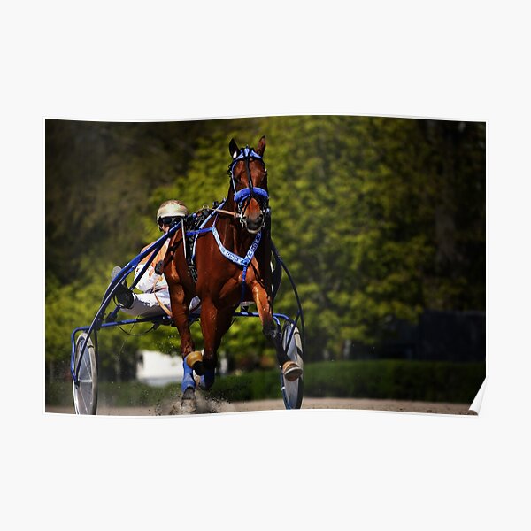 "harness horse cart racing" Poster by hottehue | Redbubble