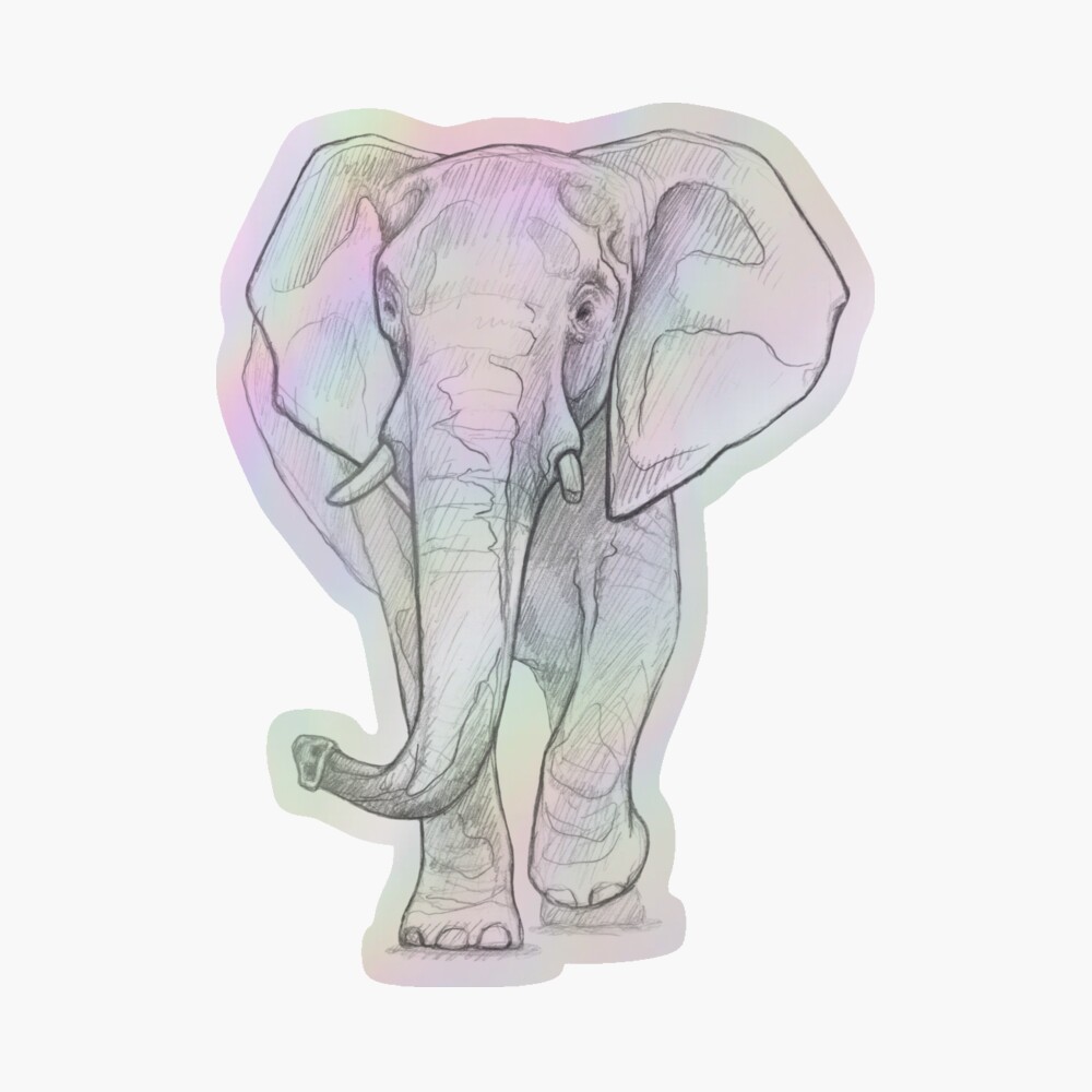 Elephant Drawings Tumblr