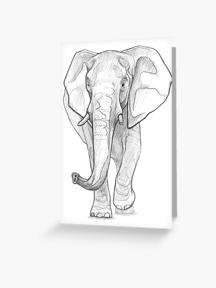 Hand-drawn Pair of Elephants greeting card with envelope Greeting Cards ...