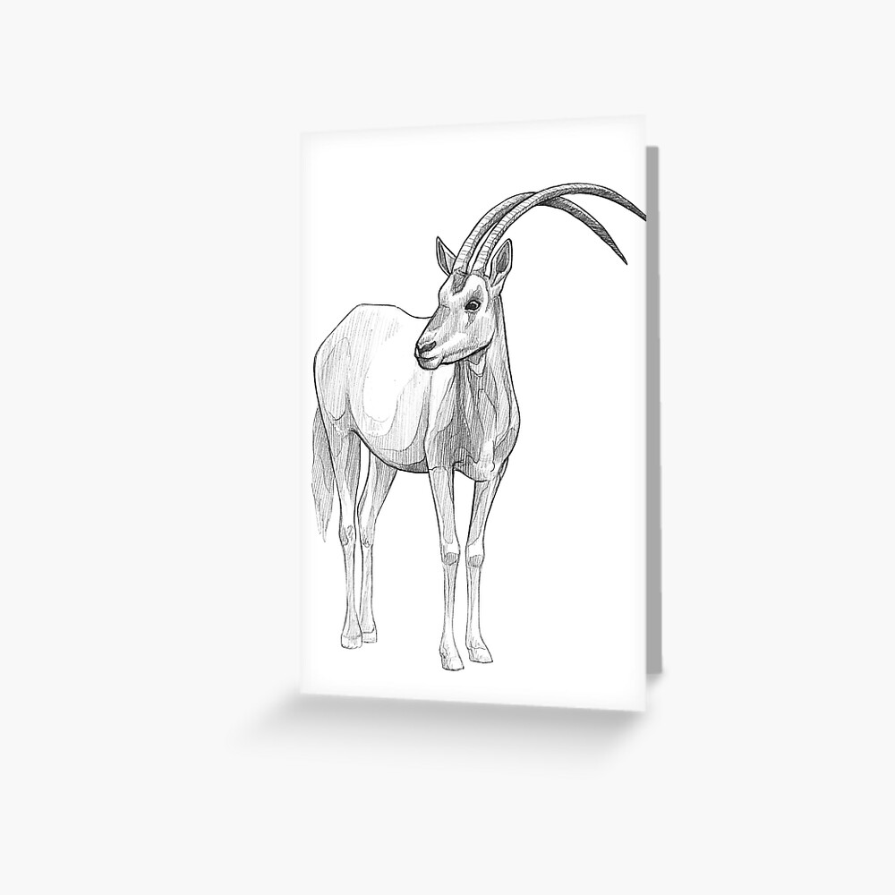 "Horned Oryx - Art Illustration - Monochromatic Pencil Line Sketch ...