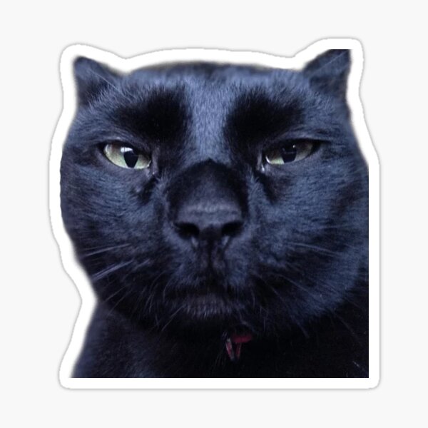 "feline friendo #3" Sticker for Sale by waifuism | Redbubble