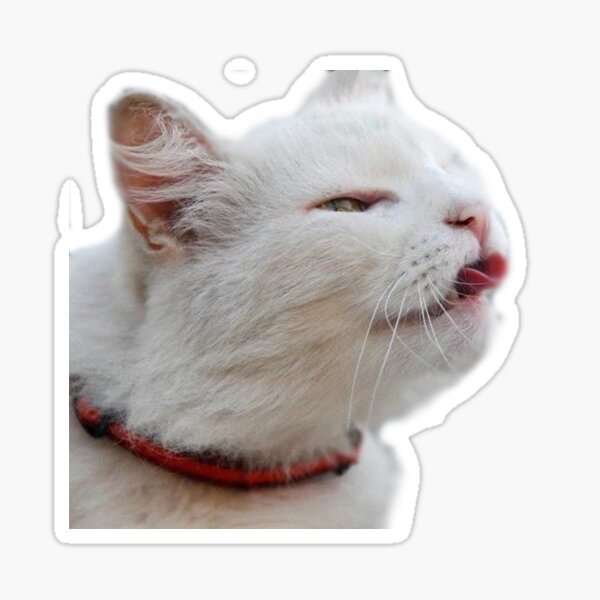 "feline friendo #14" Sticker for Sale by waifuism | Redbubble