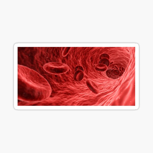 "Red Blood Cells, Fun Phlebotomy Mug." Sticker by madtoyman | Redbubble