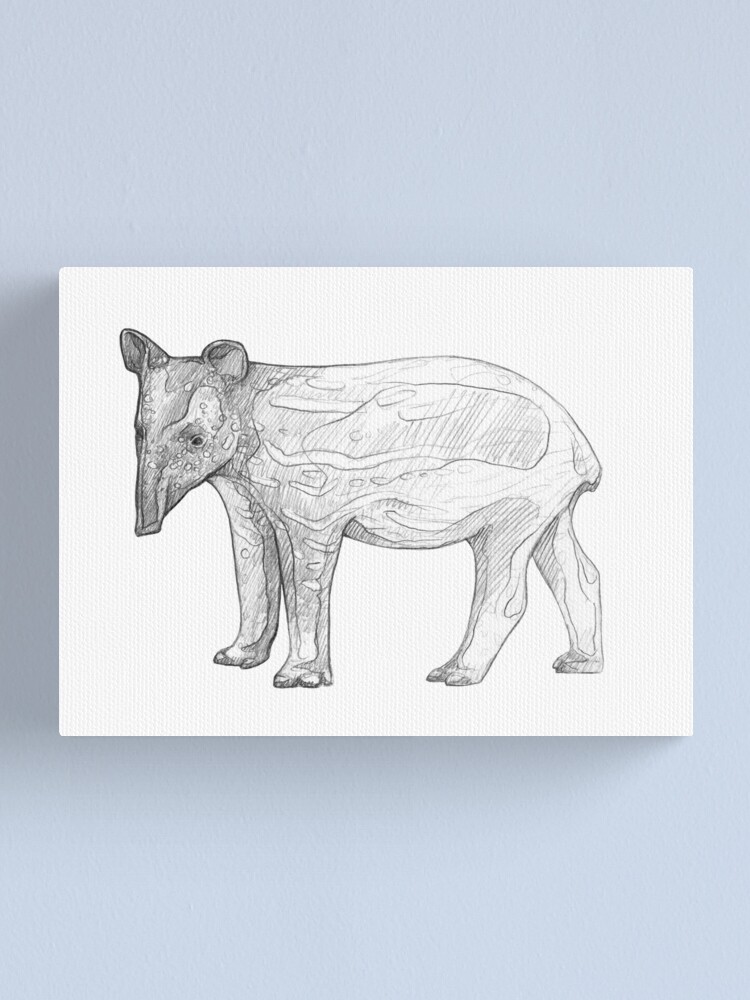 "Malayan Tapir - Art Illustration - Monochromatic Pencil Line Sketch ...