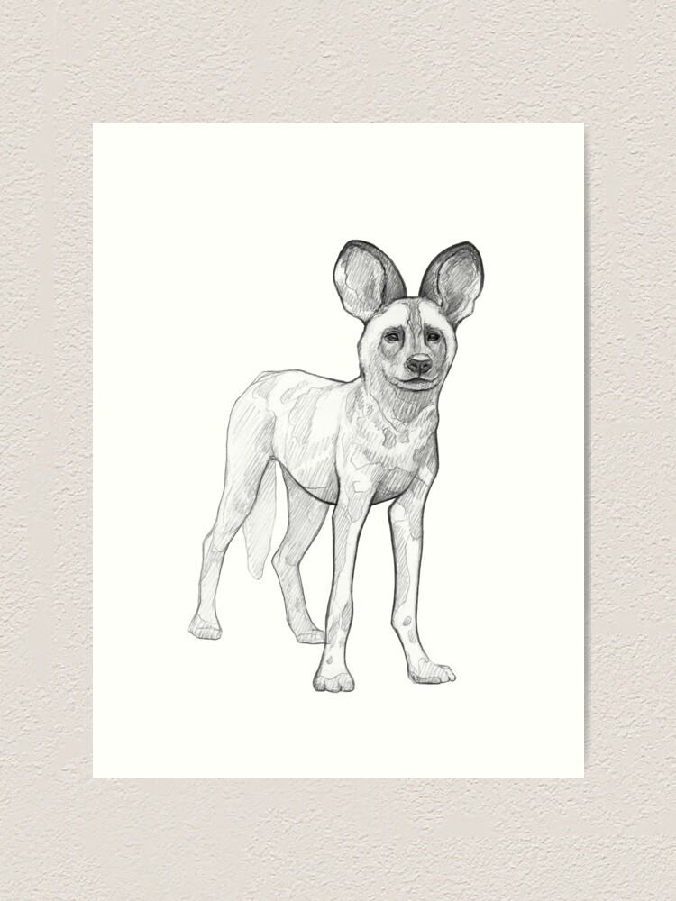 "Spotted Dog - Art Illustration - Monochromatic Pencil Line Sketch ...