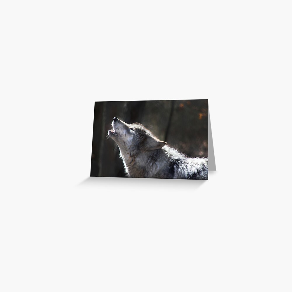 "Close up Photography of a Howling Wolf" Greeting Card by HiroMamoru ...