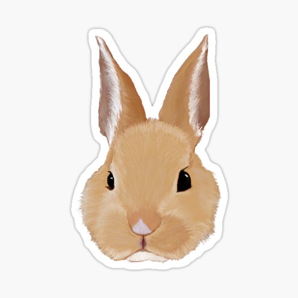 "Bunny Rabbit" Sticker for Sale by ArtistsQuest | Redbubble