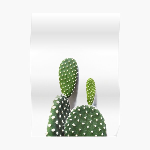 "Cactus, Succulent, Cacti, Suculentas" Poster by PrintsProject | Redbubble