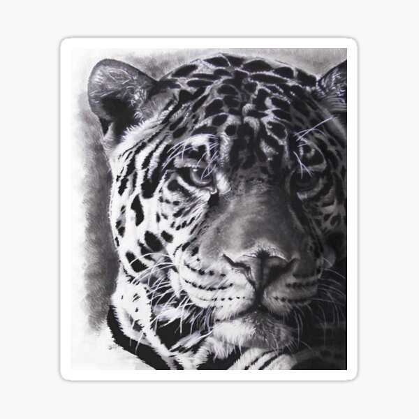 "Kingpin" Sticker for Sale by BarbBarcikKeith | Redbubble