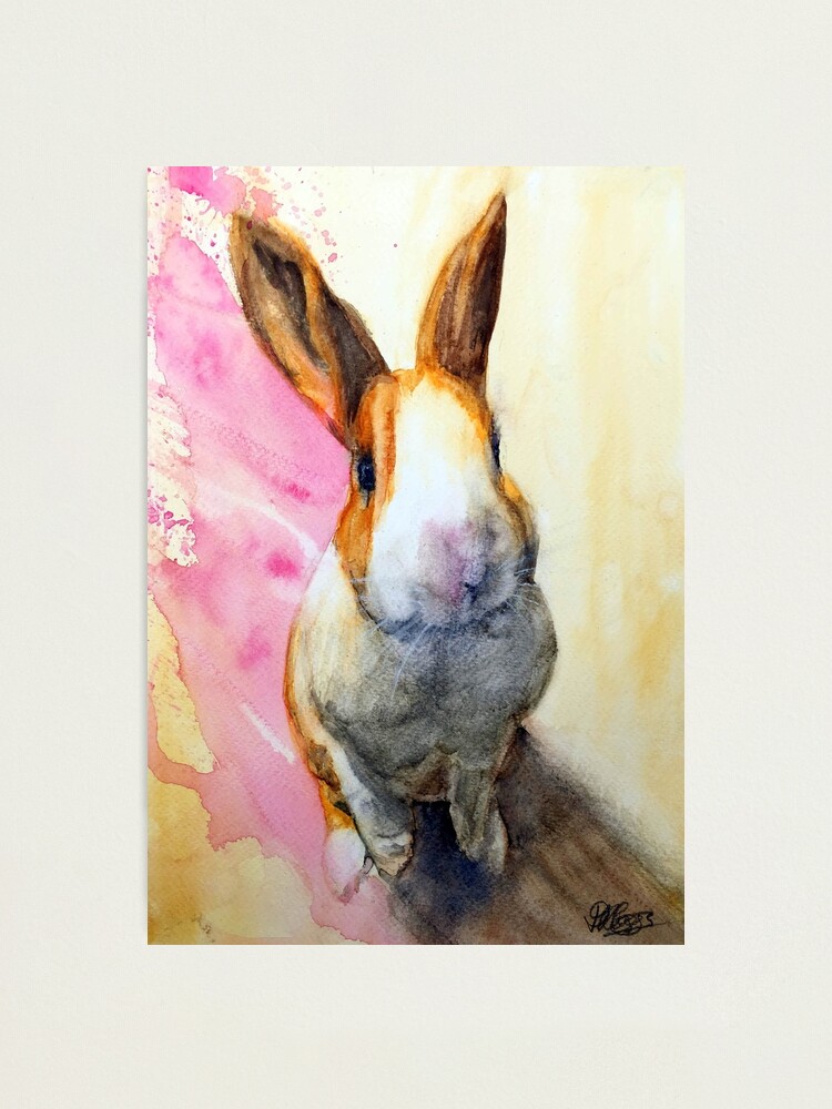 "Dutch Rabbit Watercolour - Dijon begging for banana" Photographic ...