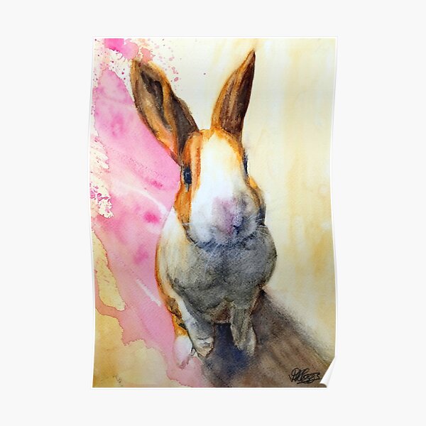 "Dutch Rabbit Watercolour - Dijon begging for banana" Poster for Sale ...
