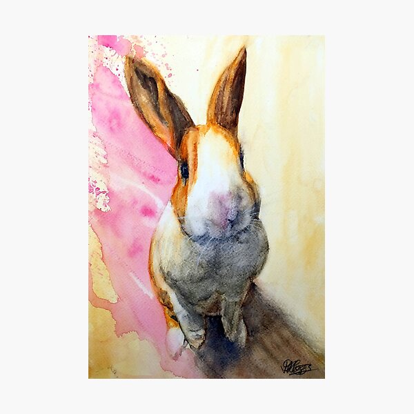 "Dutch Rabbit Watercolour - Dijon begging for banana" Photographic ...