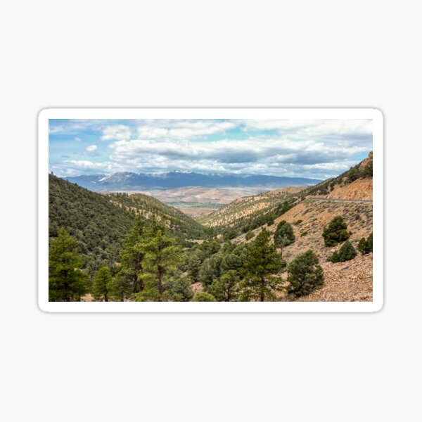 Wayside Gifts & Merchandise | Redbubble