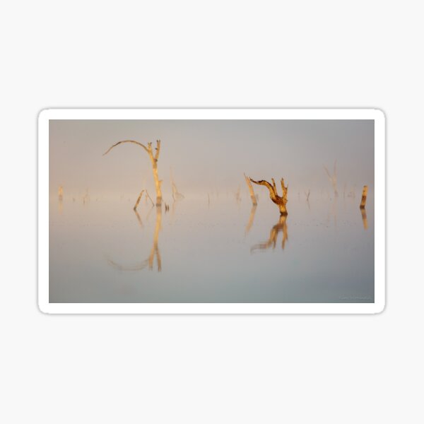 "Ethereal" Sticker by lirralirra | Redbubble