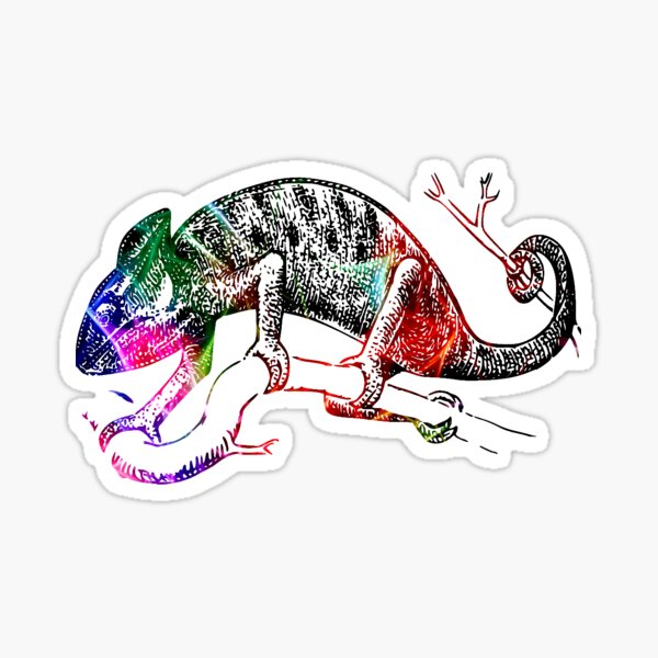 "Colourful Lizard" Sticker for Sale by NatureRebel | Redbubble