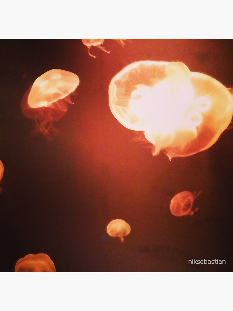 "Moon Jellies (Red)" Sticker for Sale by niksebastian | Redbubble