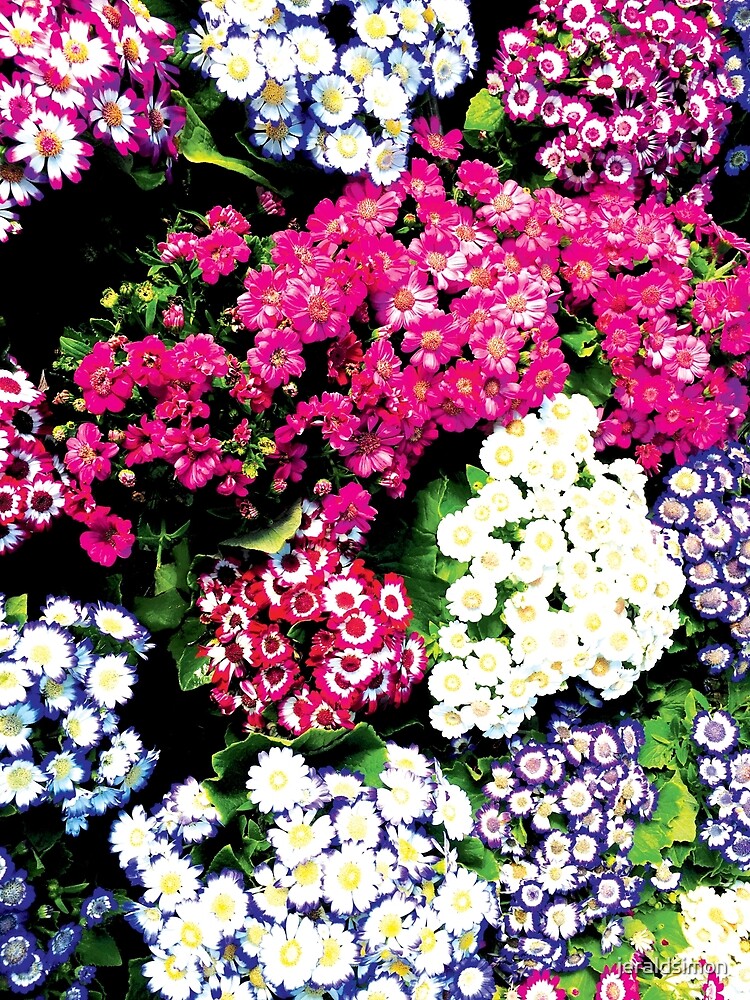 "Colors Blend Into One by Jerald Simon (Music Motivation ...