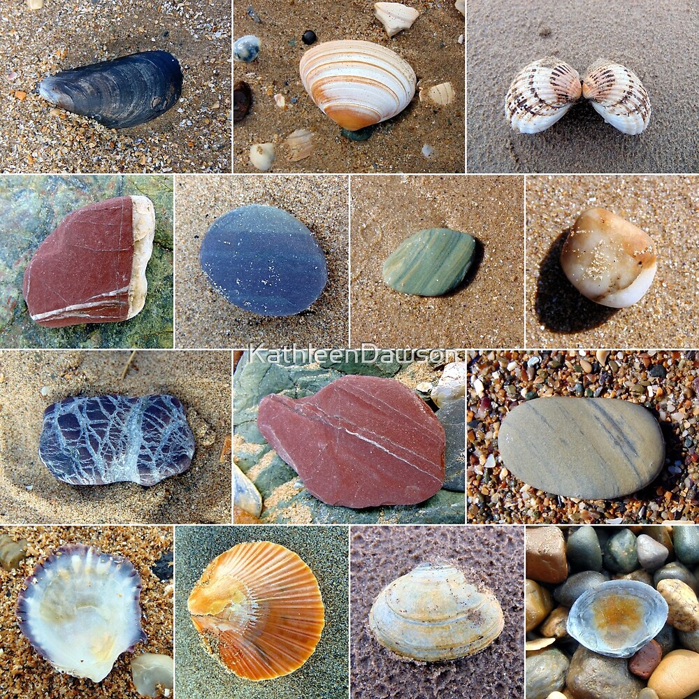 "pebbles and shells" by KathleenDawson | Redbubble