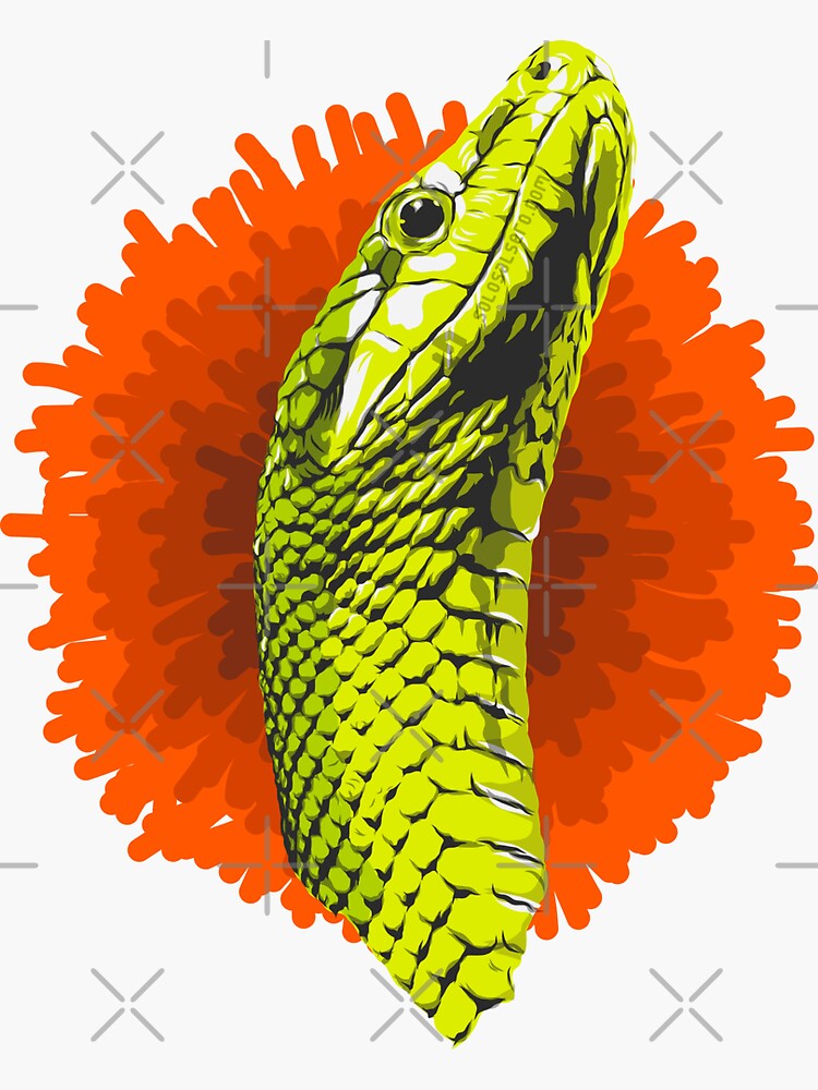 "Snake" Sticker for Sale by SoloSalsero | Redbubble