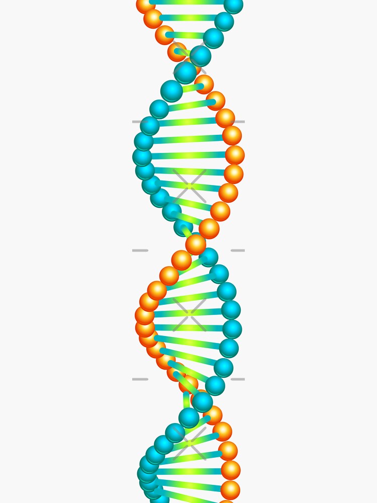 "DNA helix" Sticker for Sale by Smaragdas | Redbubble