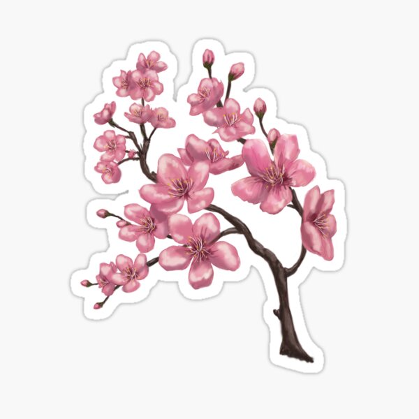 "Japanese Sakura Festival Pink Cherry Blossom Flower" Sticker for Sale ...