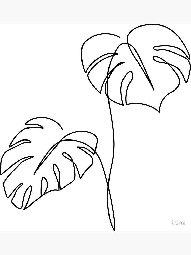 "Monstera line art" Art Print for Sale by irarte | Redbubble