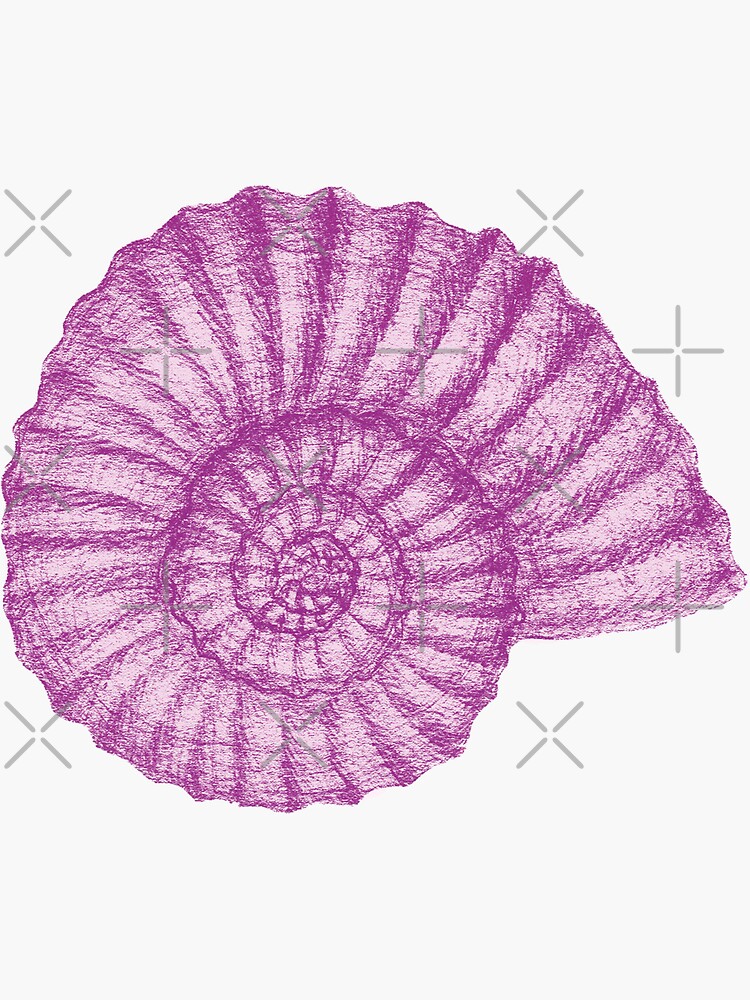 "Pink ammonites - bold repeated decorative pattern of ancient seashells ...