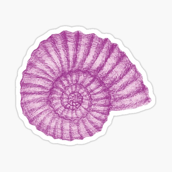 "Pink ammonites - bold repeated decorative pattern of ancient seashells ...