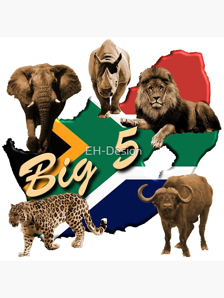 "Big 5 - South Africa Safari" Posterundefined by EH-Design | Redbubble
