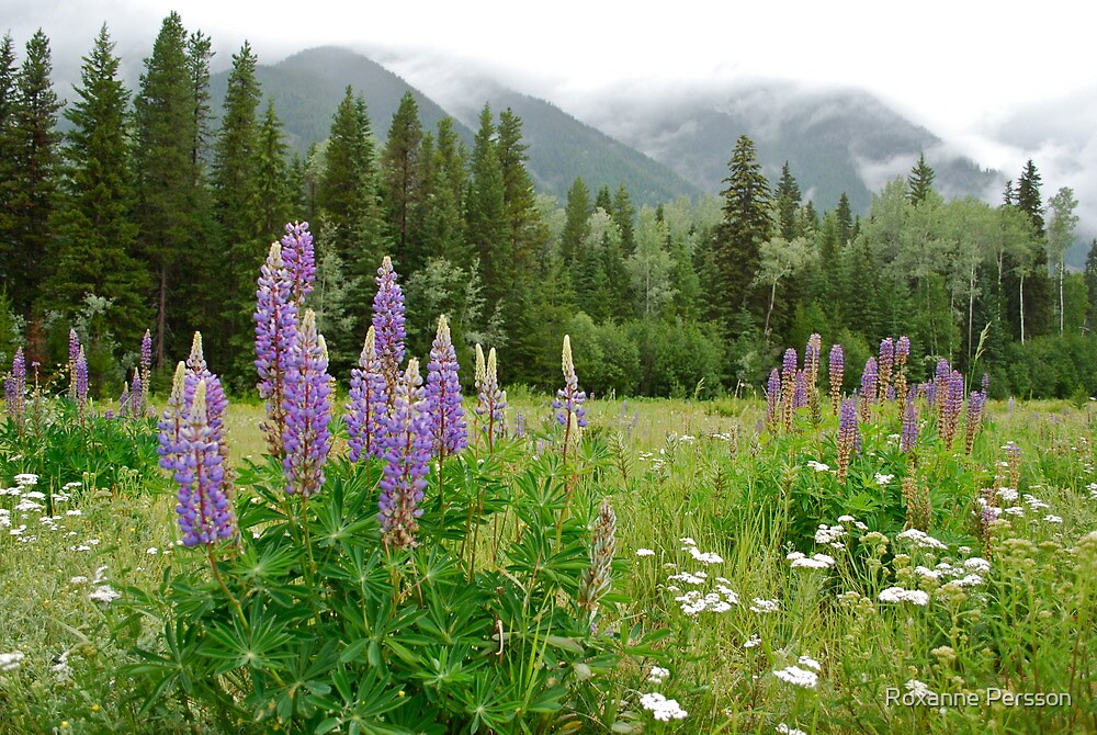 "Lupines - Wildflower Meadow at Mt. Robson" by Roxanne Persson | Redbubble