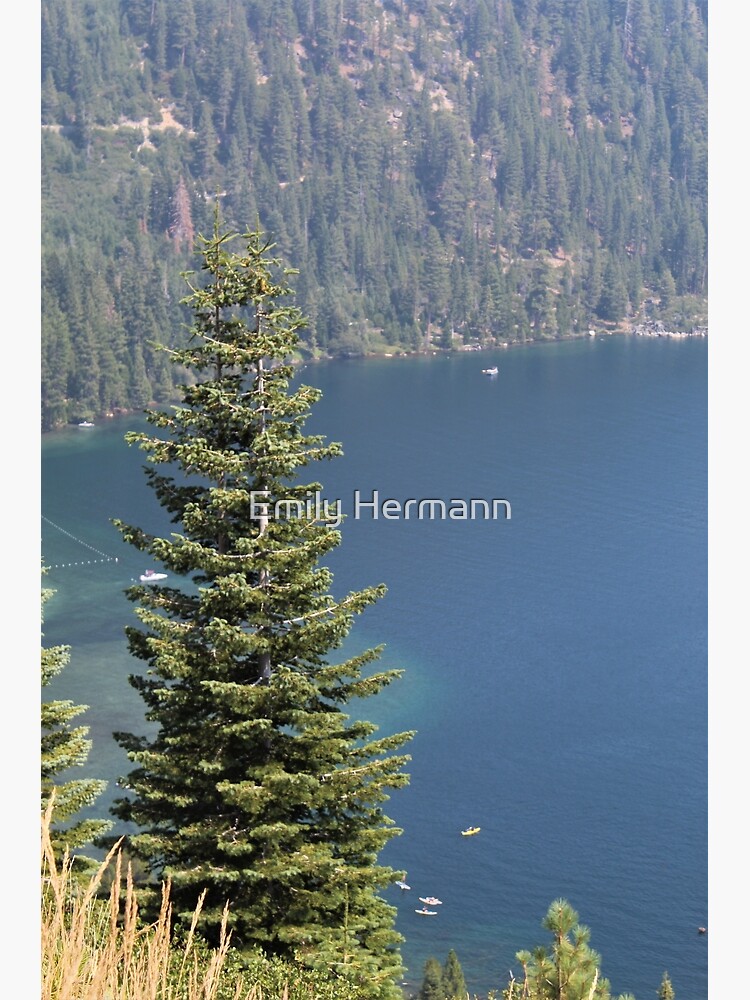 "Stand Alone" Poster by emhermann13 | Redbubble