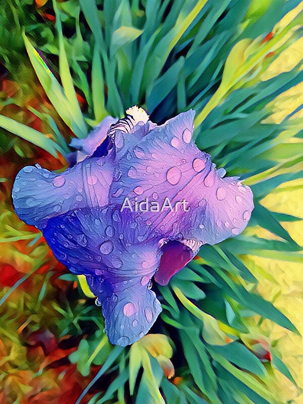 Iris By Aidaart Redbubble