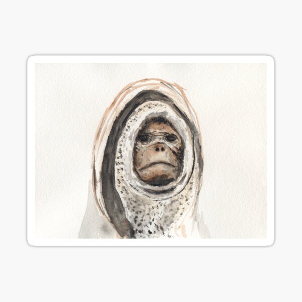 "Sam the Rhesus Macaque watercolour painting" Sticker by crumpet ...