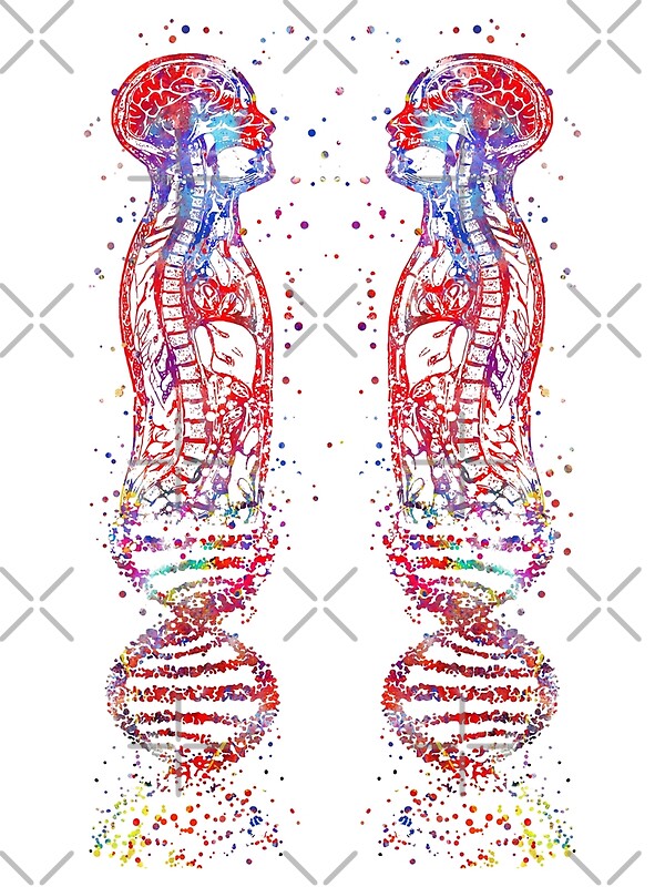 "DNA man, human body anatomy, human body molecules" by Rosaliartbook ...