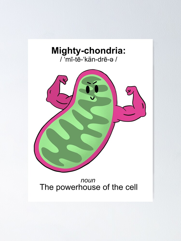 "Mighty Mitochondria" Poster for Sale by ebhcardinal | Redbubble